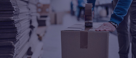 Customs Law Firm in India | Lakshmikumaran & Sridharan Attorneys